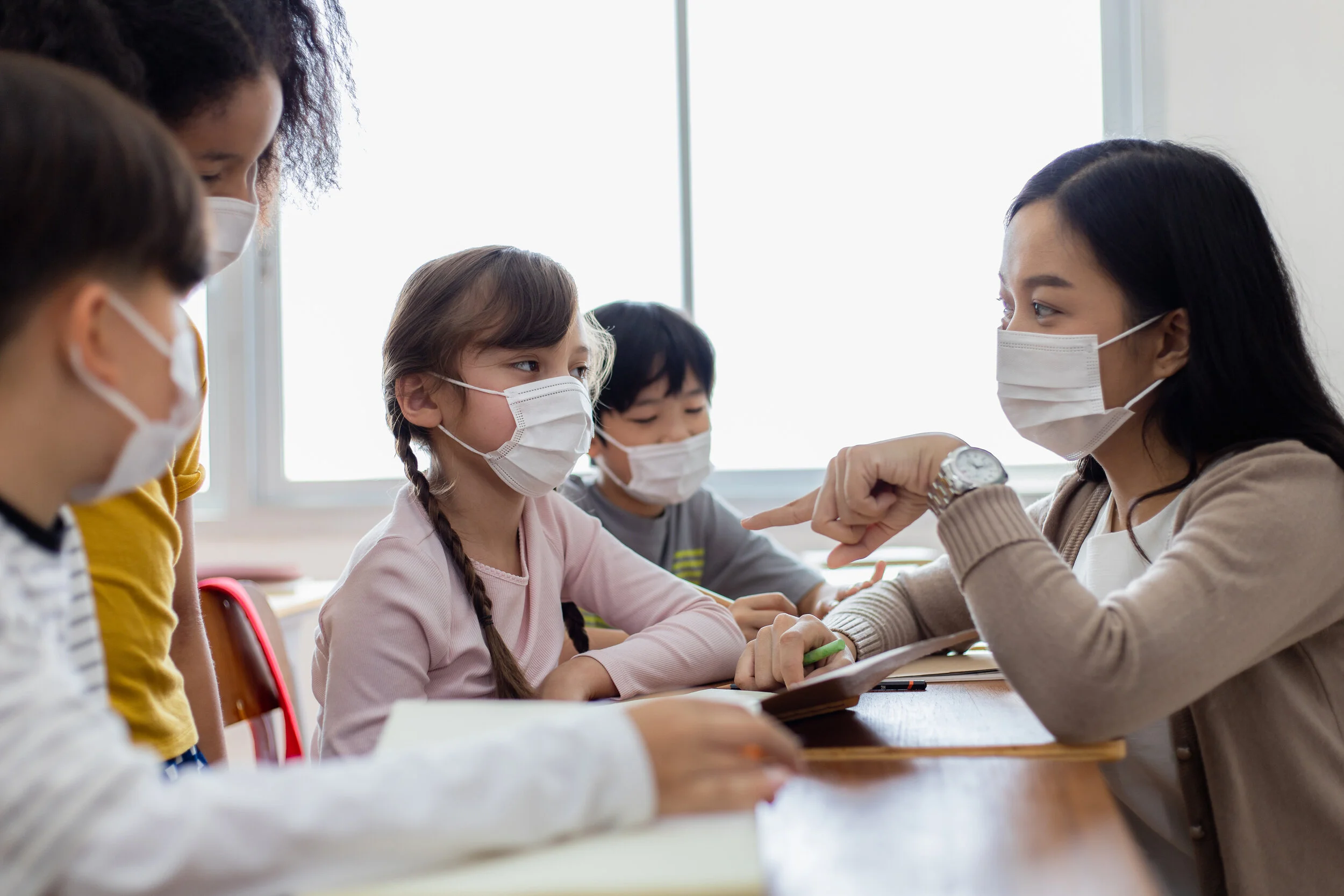 The Green Tomato Tutoring