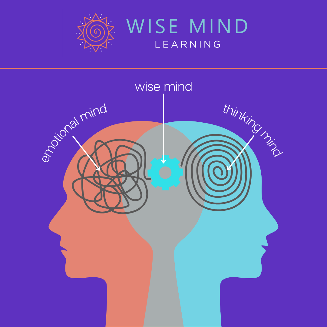 Wise Mind Learning