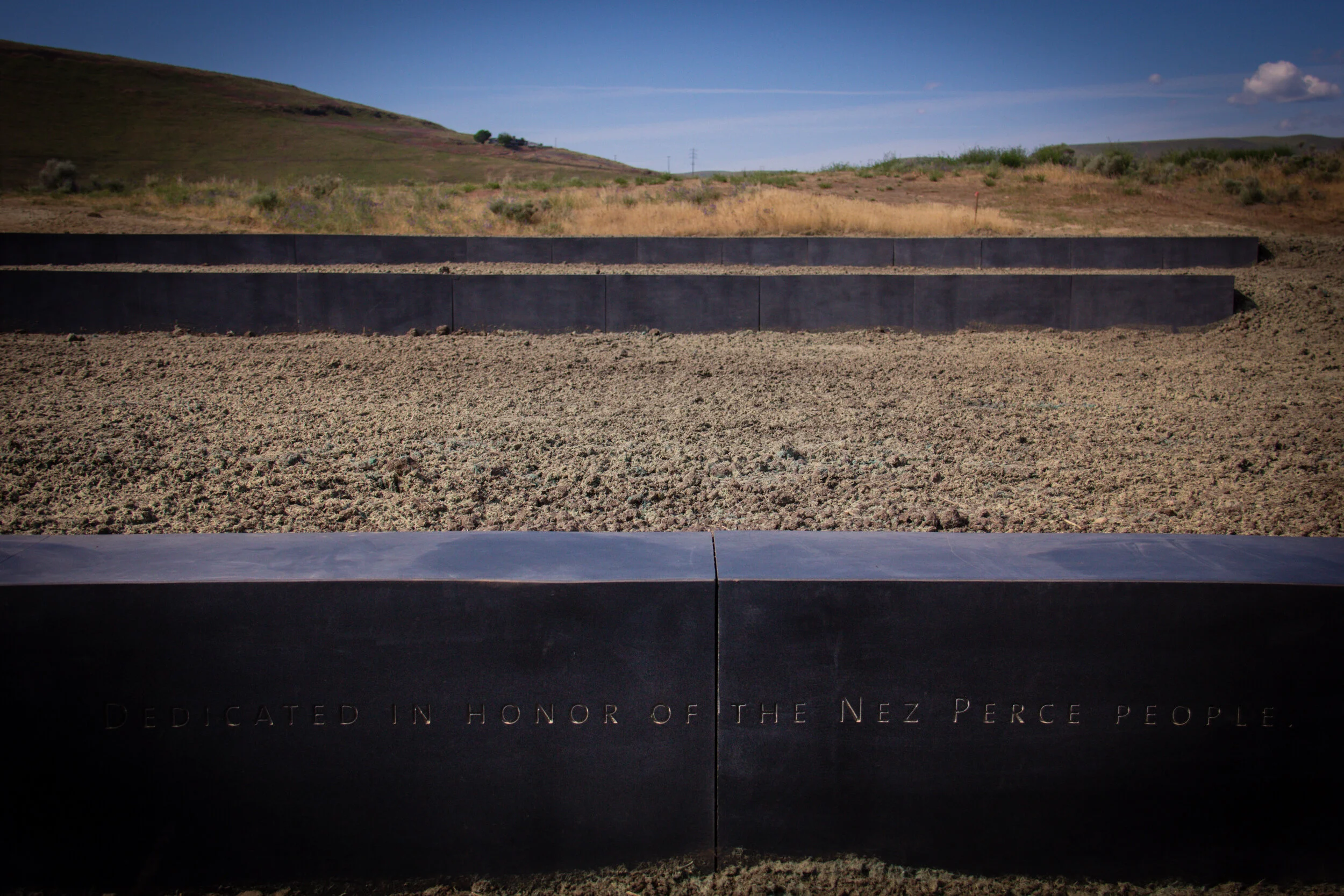 CHIEF TIMOTHY PARK — MAYA LIN STUDIO