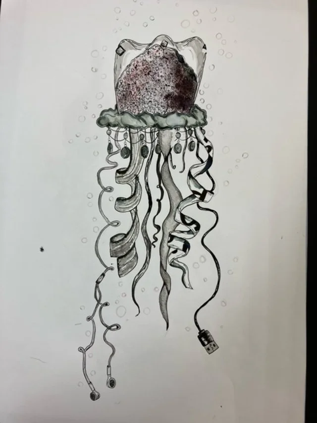 Schools Go Visual (XI) — Ilminster Arts Centre