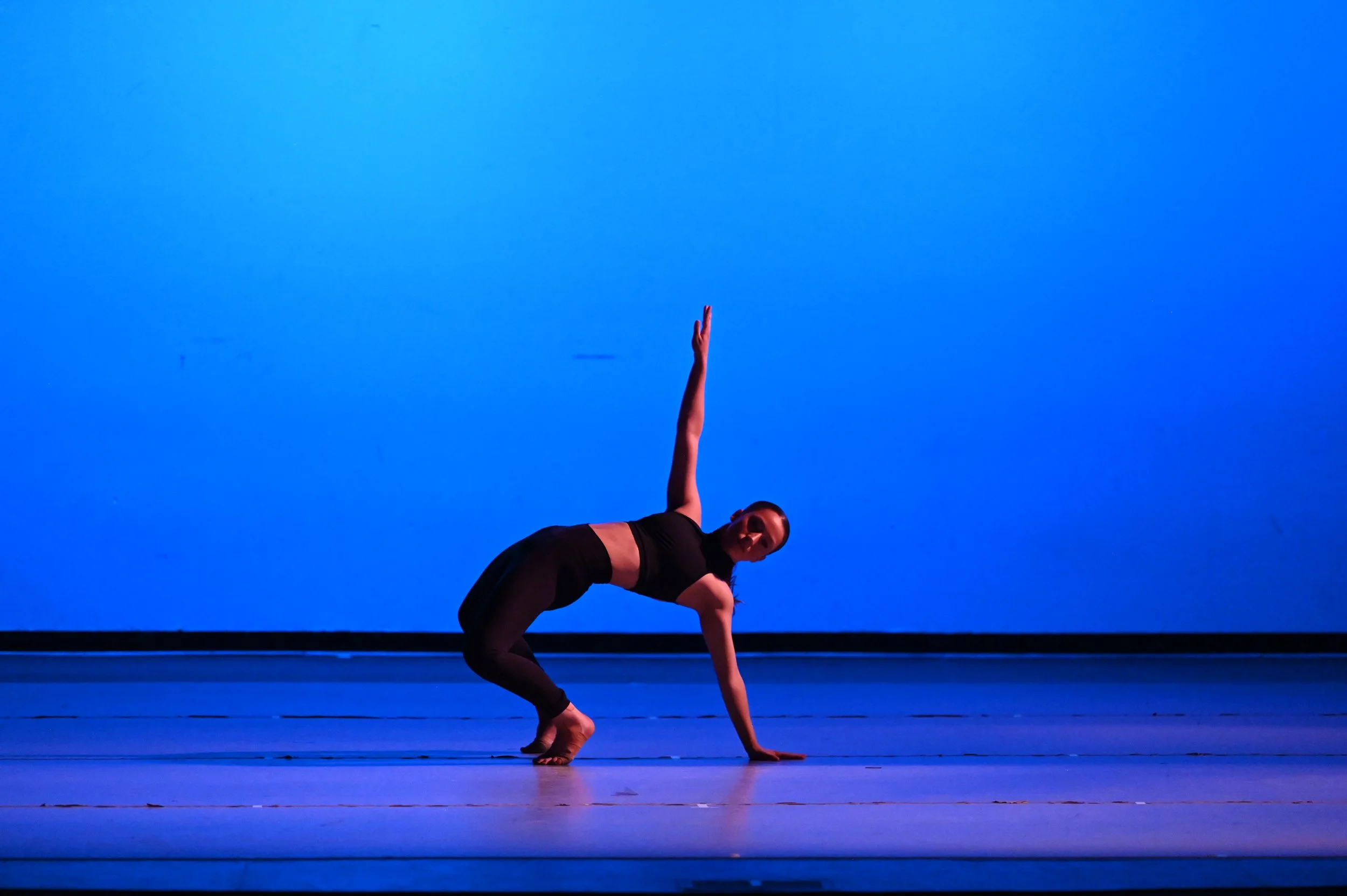 California Academy of Performing Arts (CAPA)