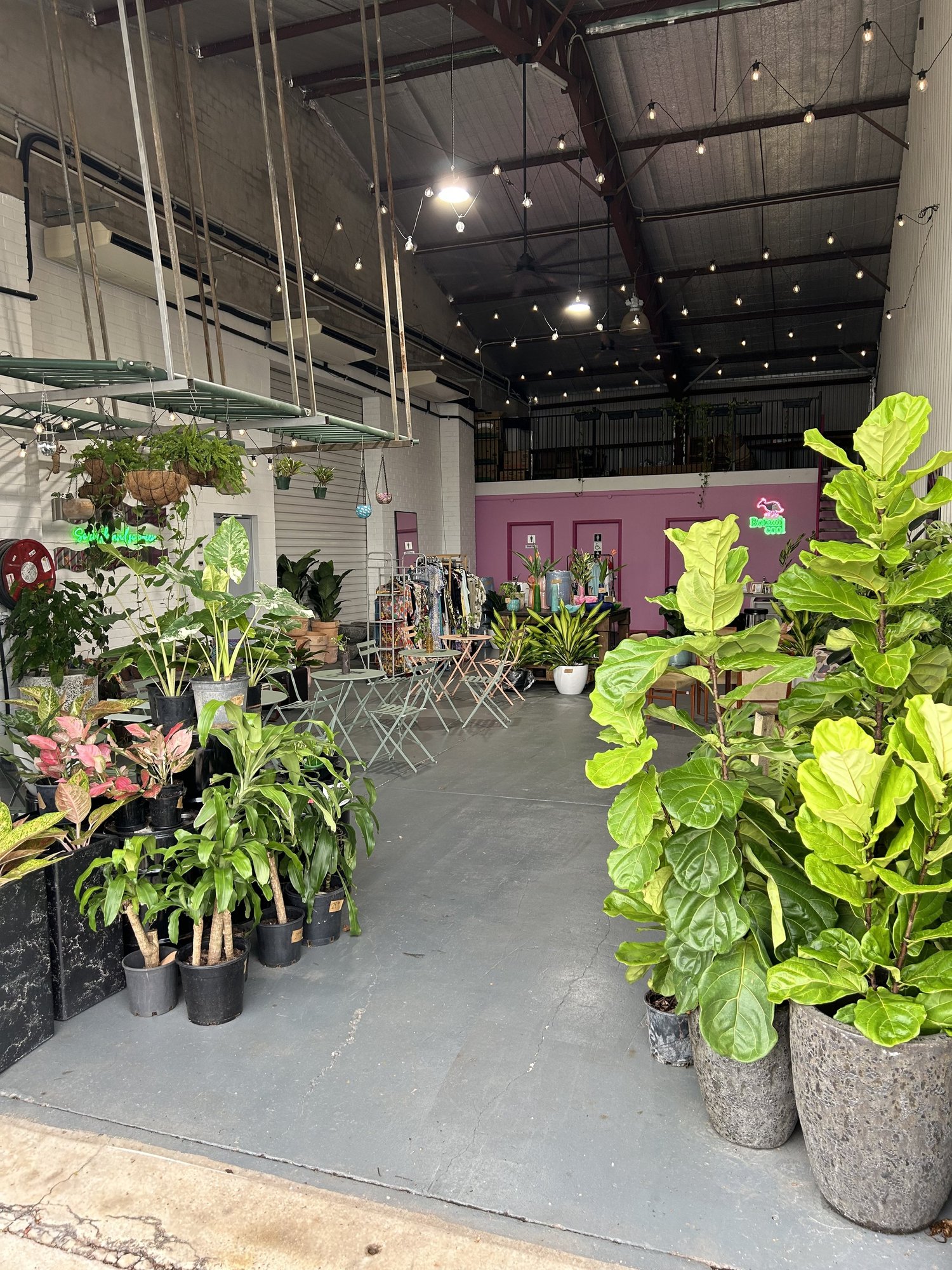 General 6 — Botanicool