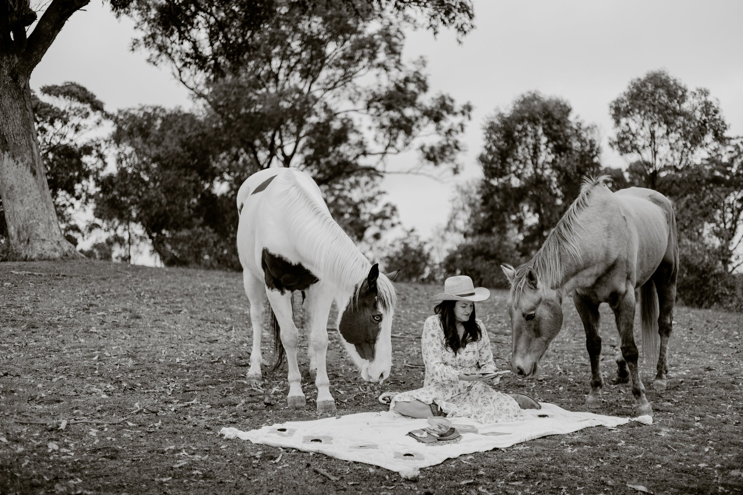 The Cowgirl Medium - Tonia Reeves