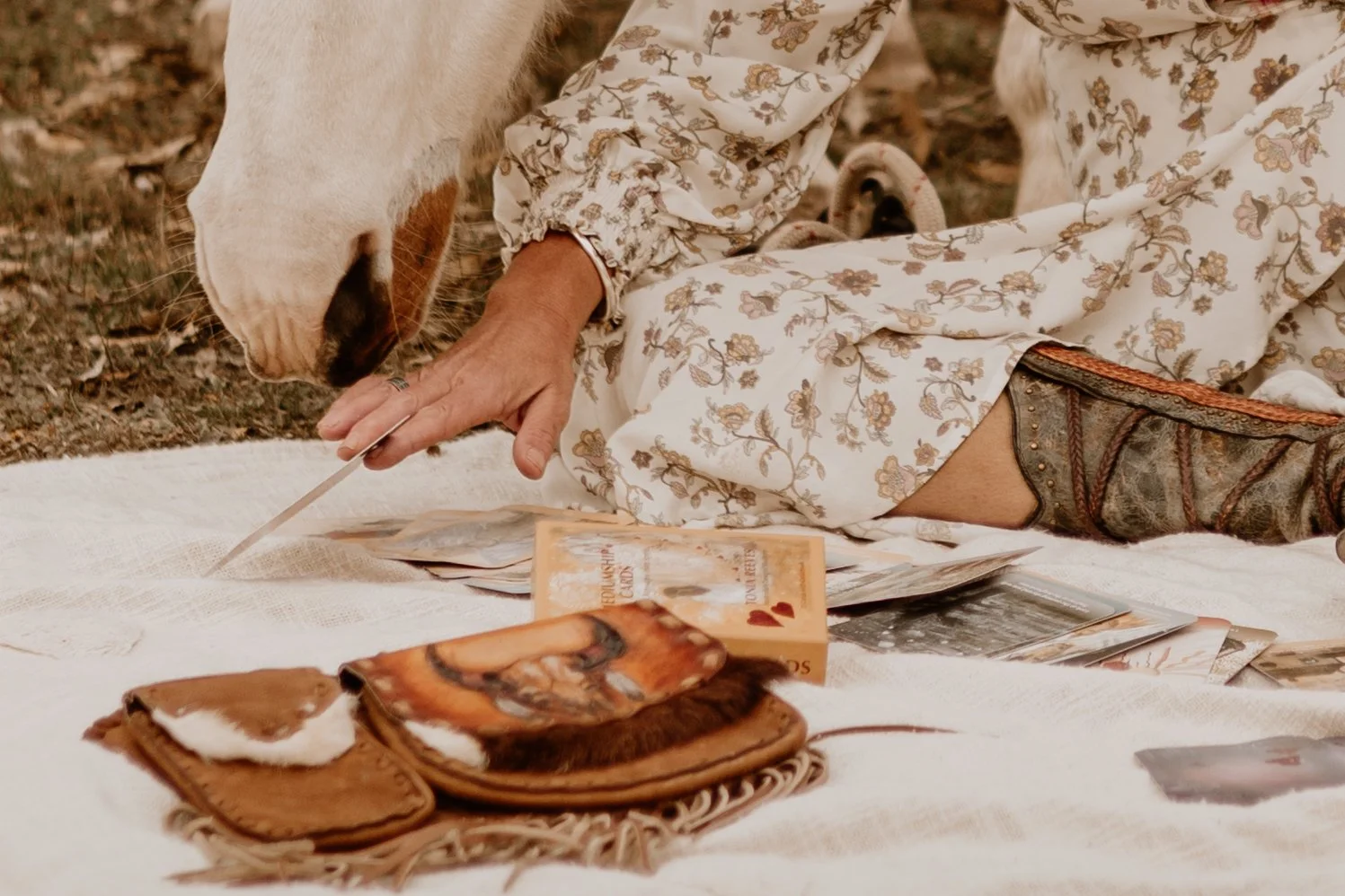 The Cowgirl Medium - Tonia Reeves