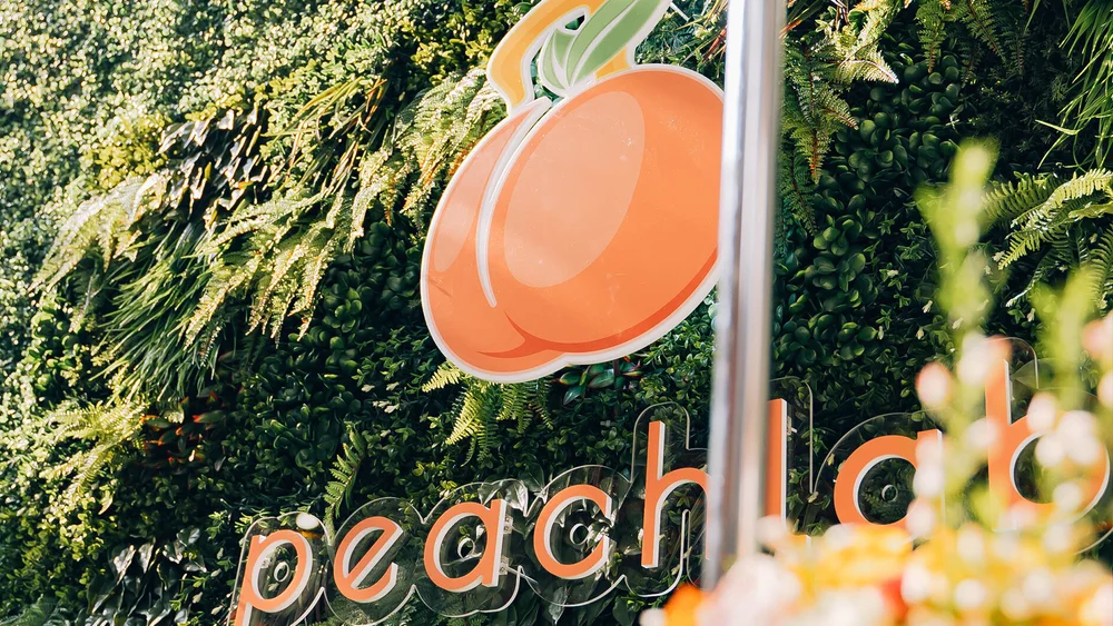 Blog — Peach Lab