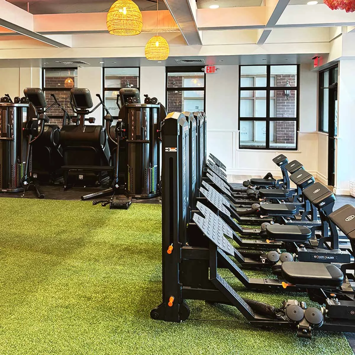 Rochester — Peach Lab