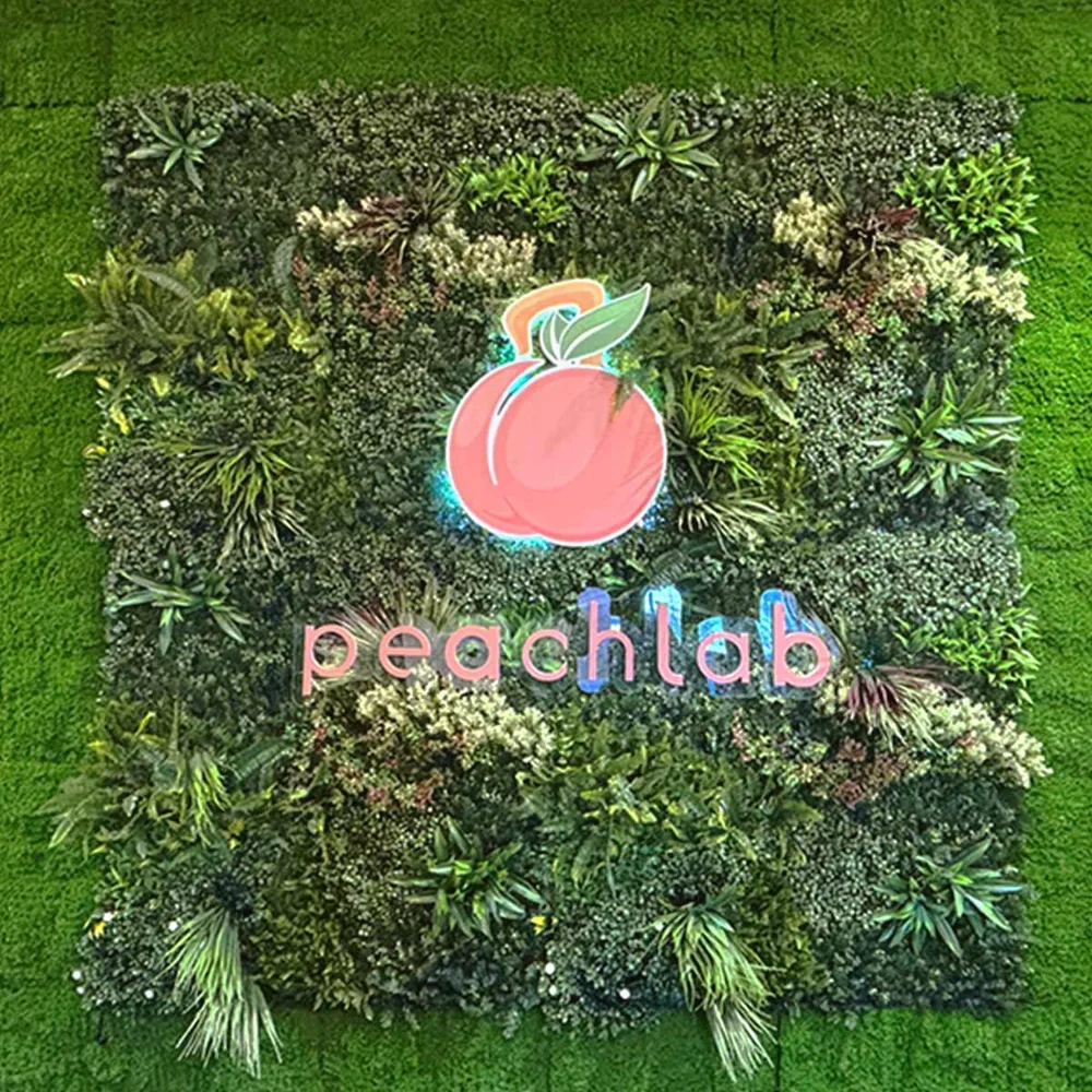 Rochester — Peach Lab