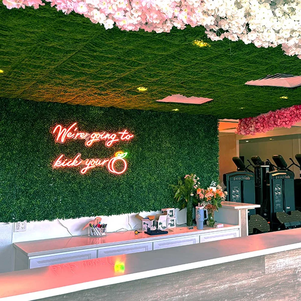 Rochester — Peach Lab