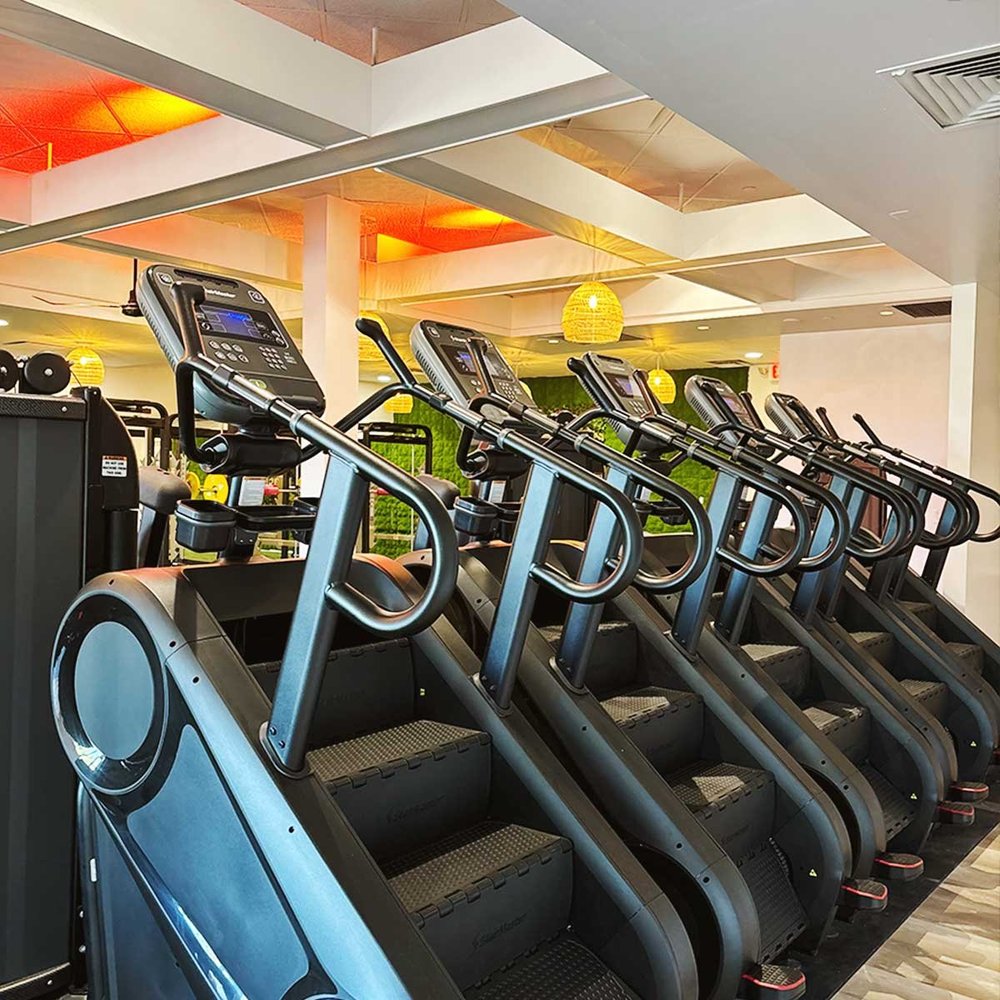 Rochester — Peach Lab