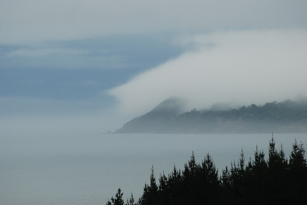 Deb Hunter-Whitlock Profile — Deb Hunter-Whitlock