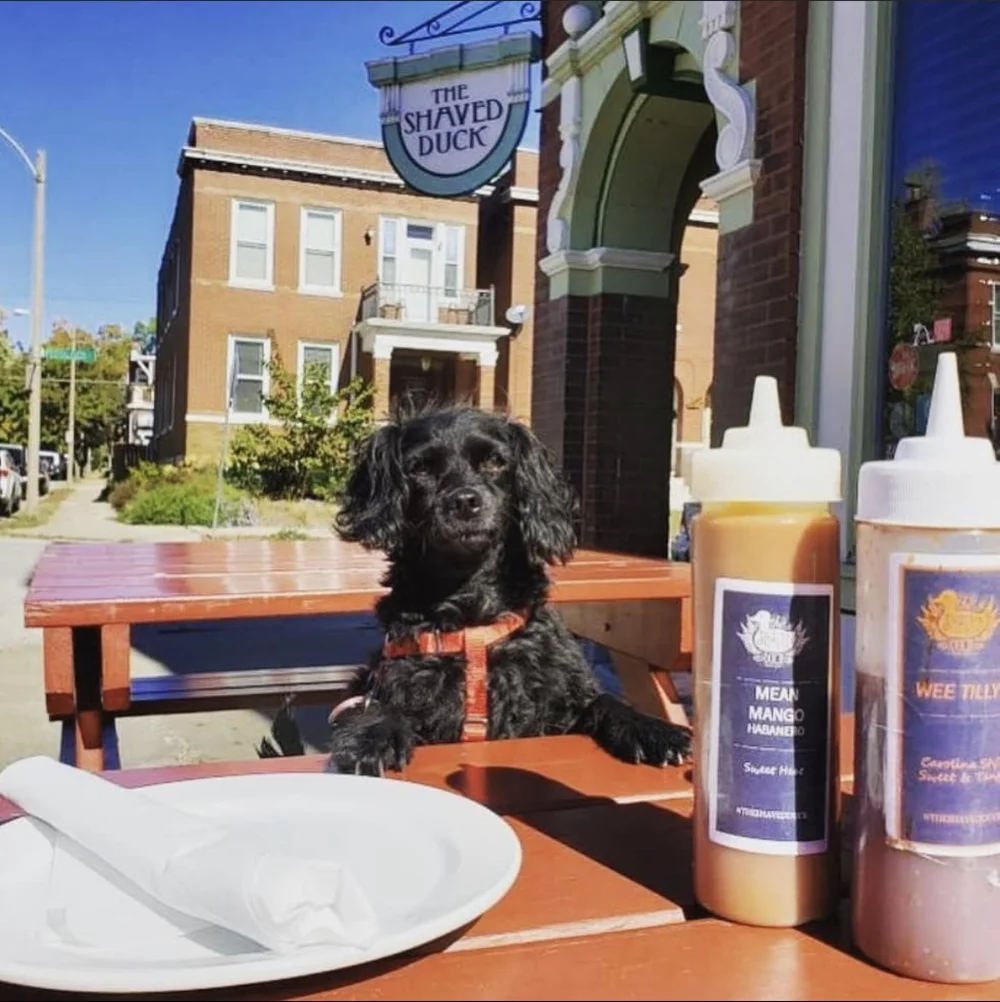 Located in the historic Tower Grove East neighborhood — The Shaved Duck ...