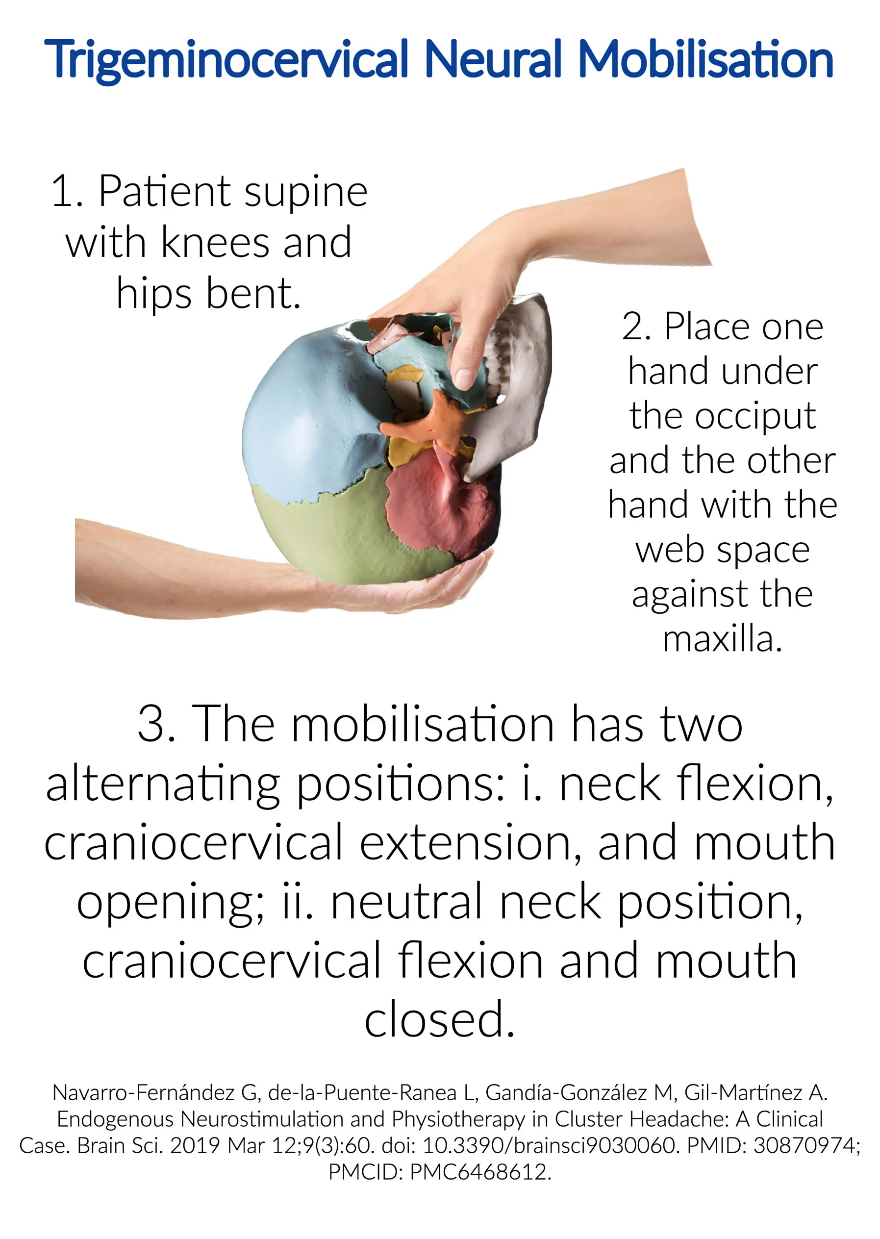 Neural mobilisation of the facial & cranial nerves — North Yorkshire ...