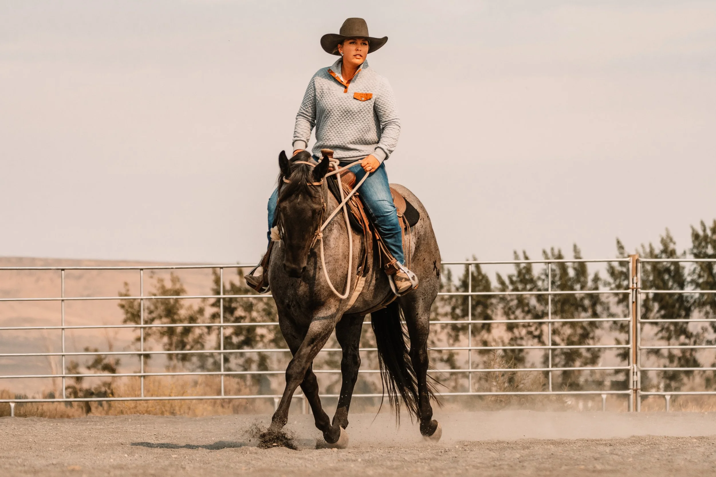 Lucia Clemetson Performance Horses