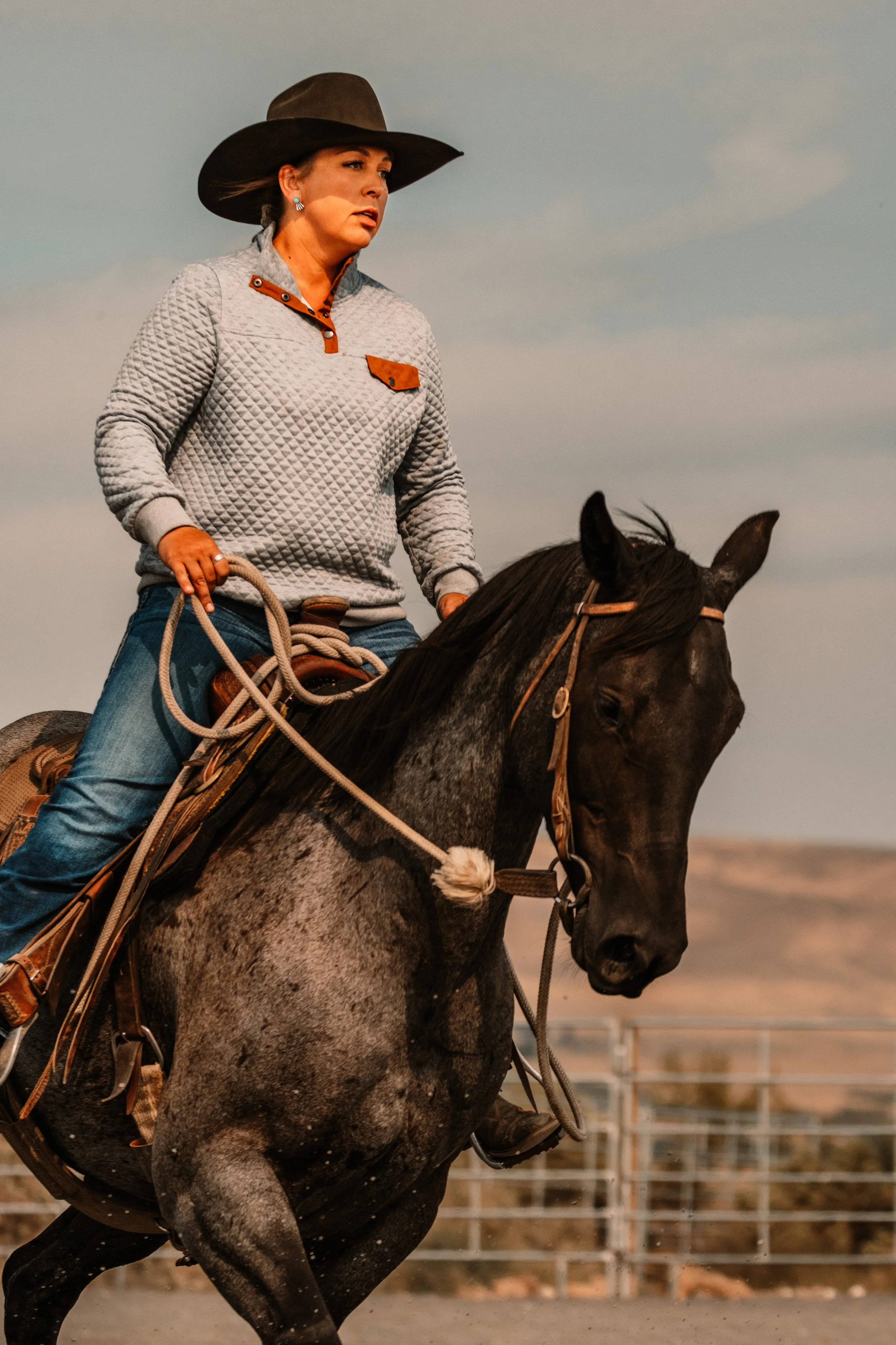 Lucia Clemetson Performance Horses