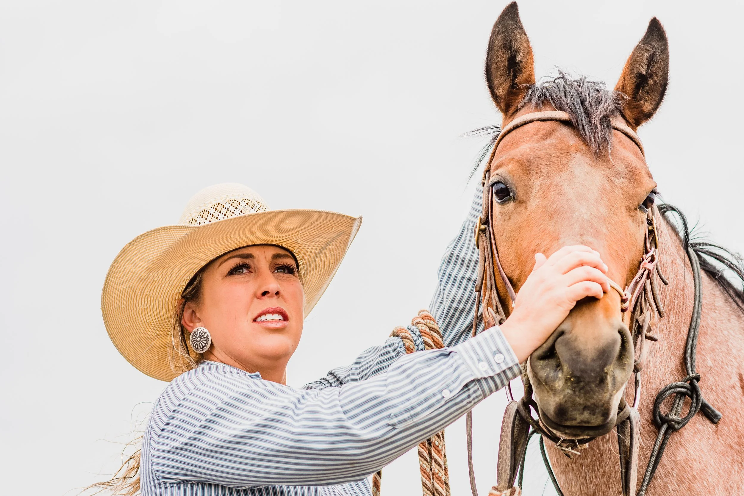 Lucia Clemetson Performance Horses