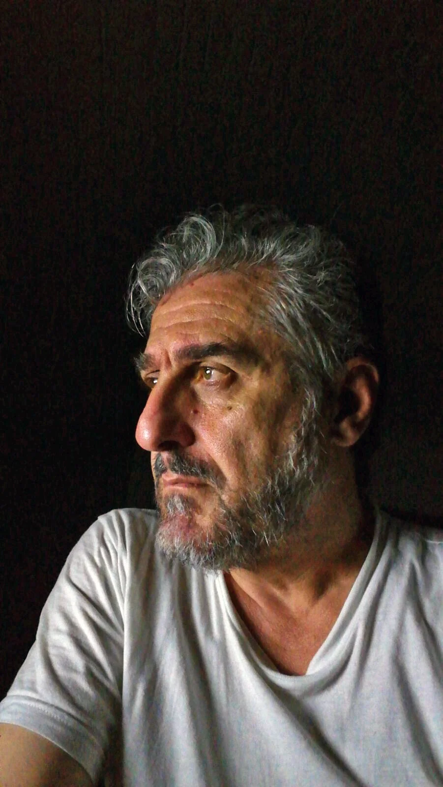 The Pali Translation Project