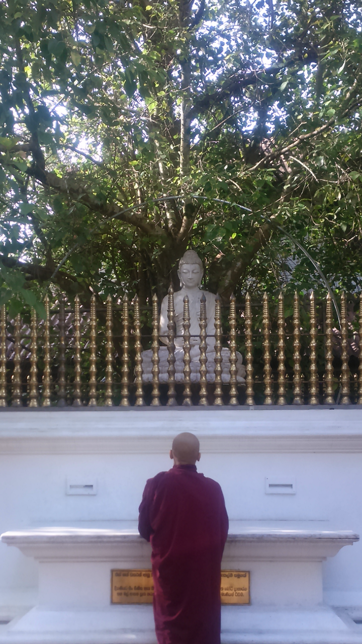 The Pali Translation Project