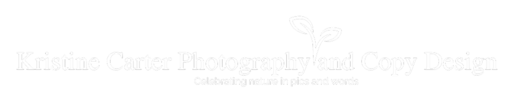 Kristine Carter Photography and Writing