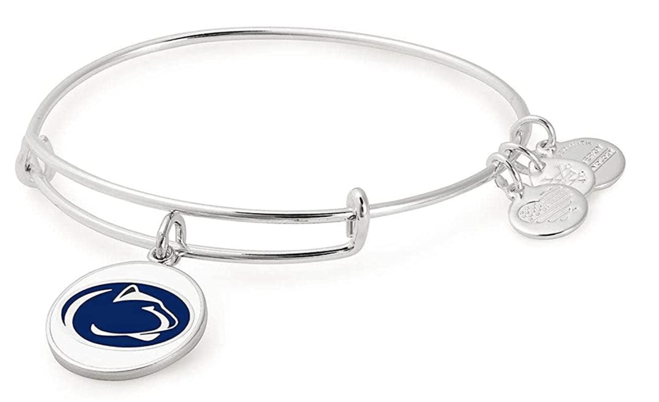 25 Unique Gift Ideas For Penn State Fans (Awesome Finds They'll LOVE ...