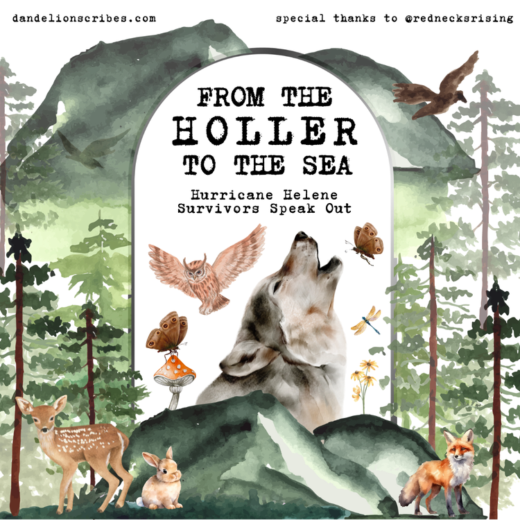 FROM THE HOLLER TO THE SEA – Hurricane Helene Survivors Speak Out ...