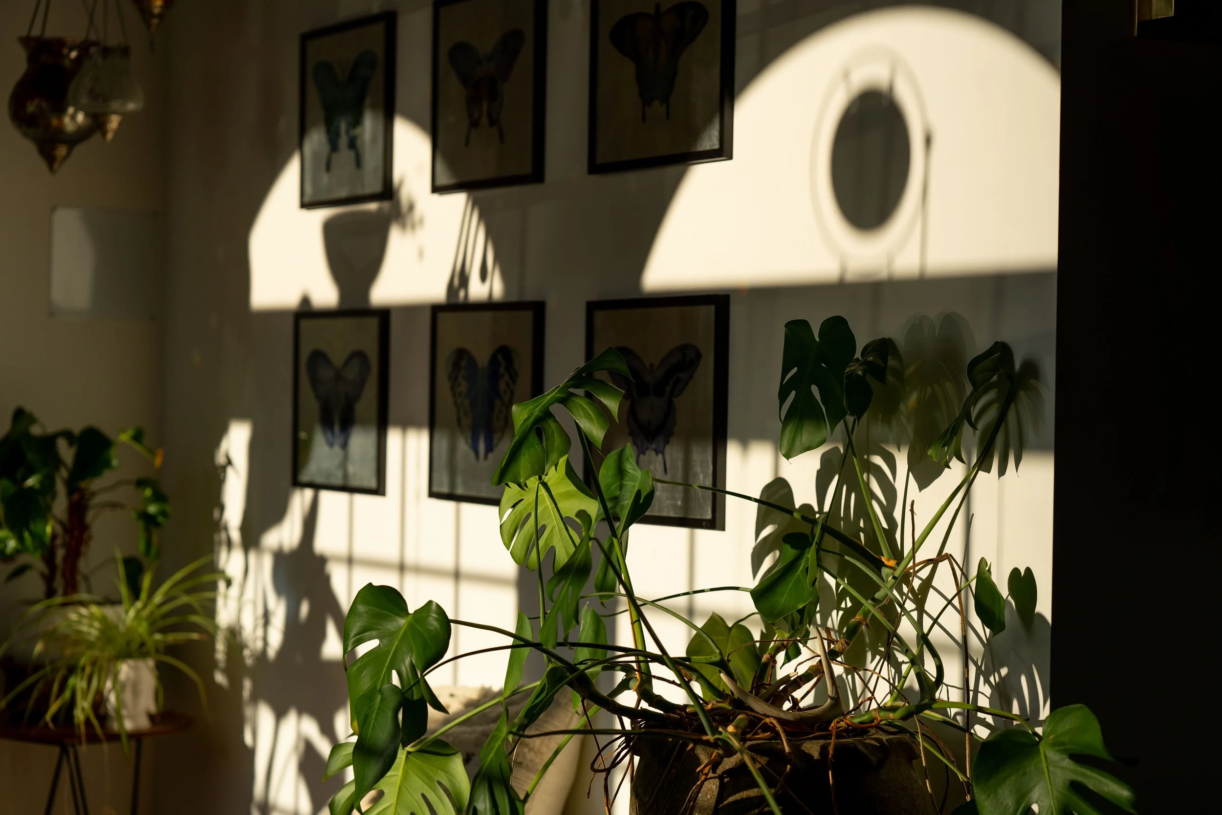 About — The Wellness Studio