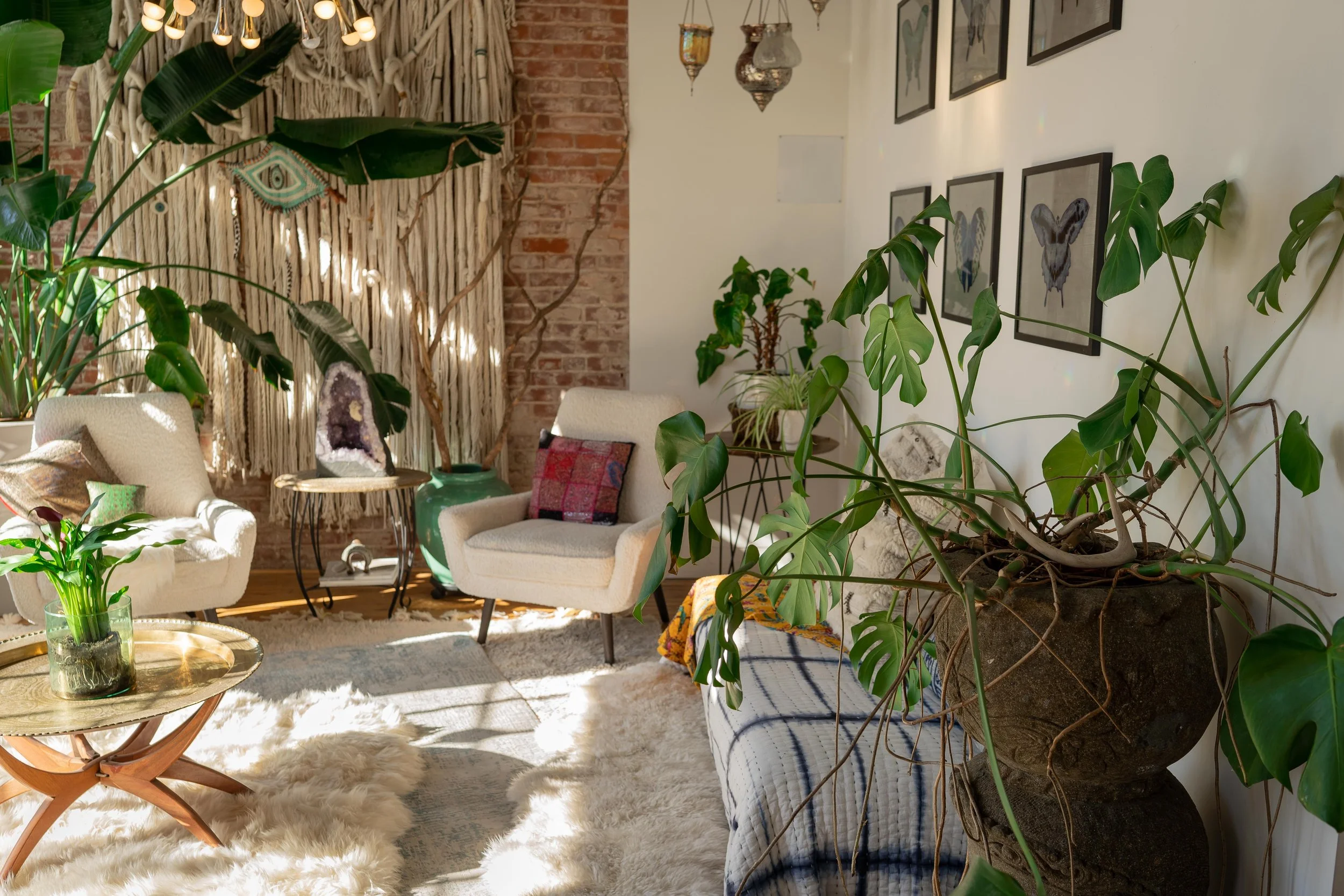 About — The Wellness Studio