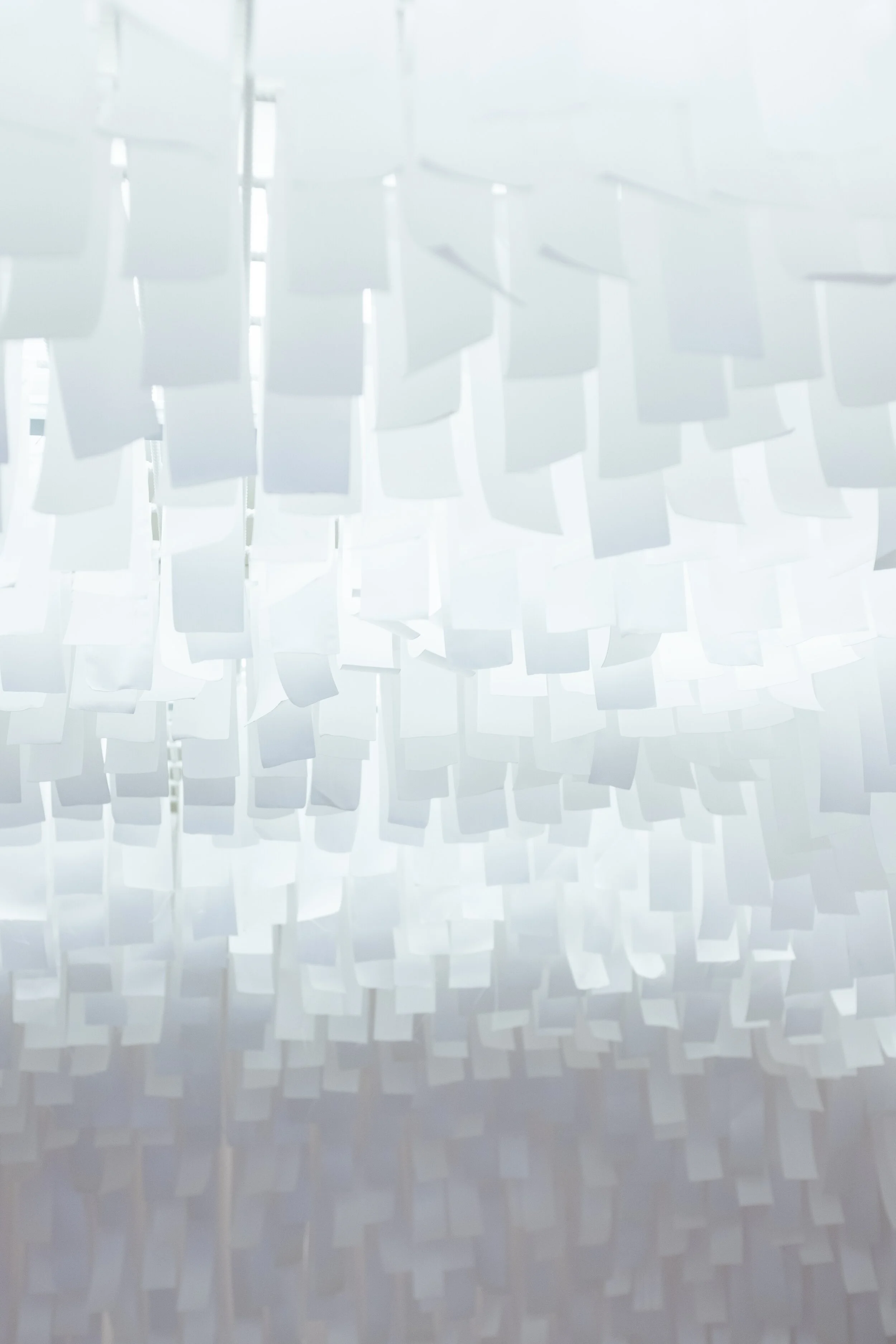 About — Dana Kaplan Teach