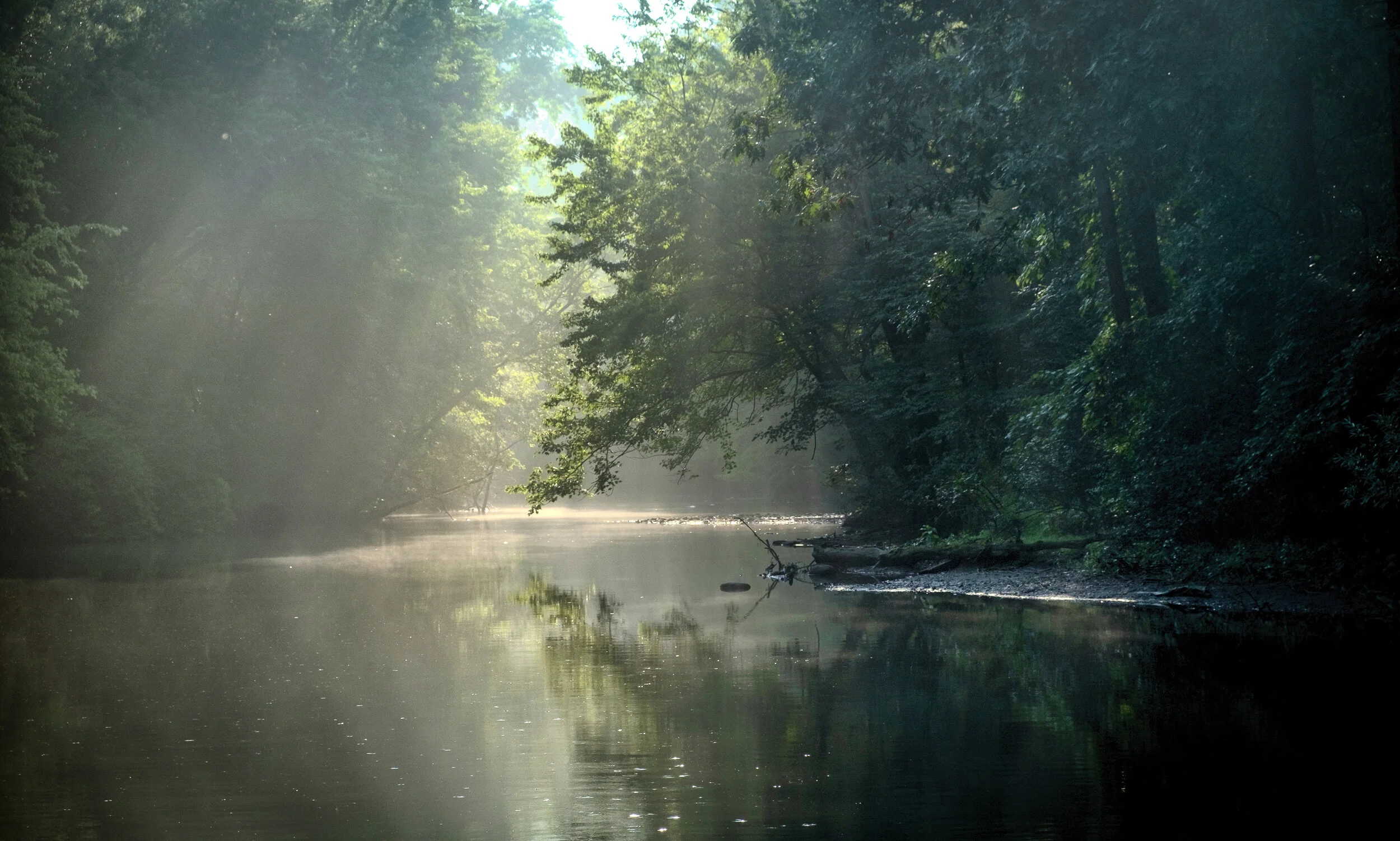 Resources — Attuned Coaching