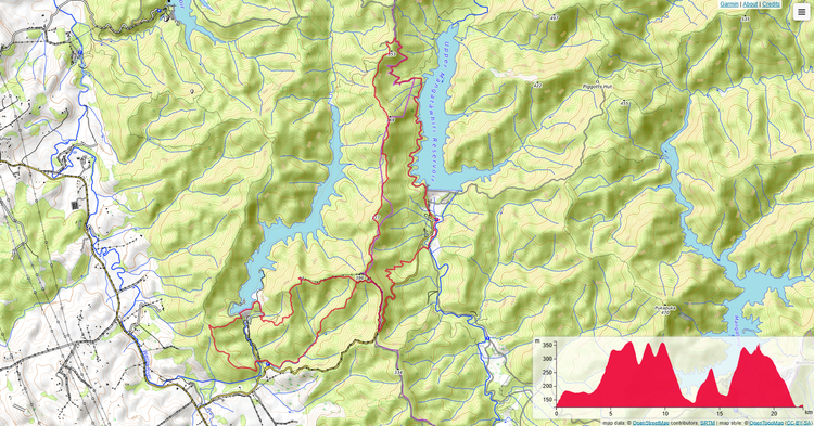 22km Trail Run/Walk — Hunua Hillbilly Ultramarathon