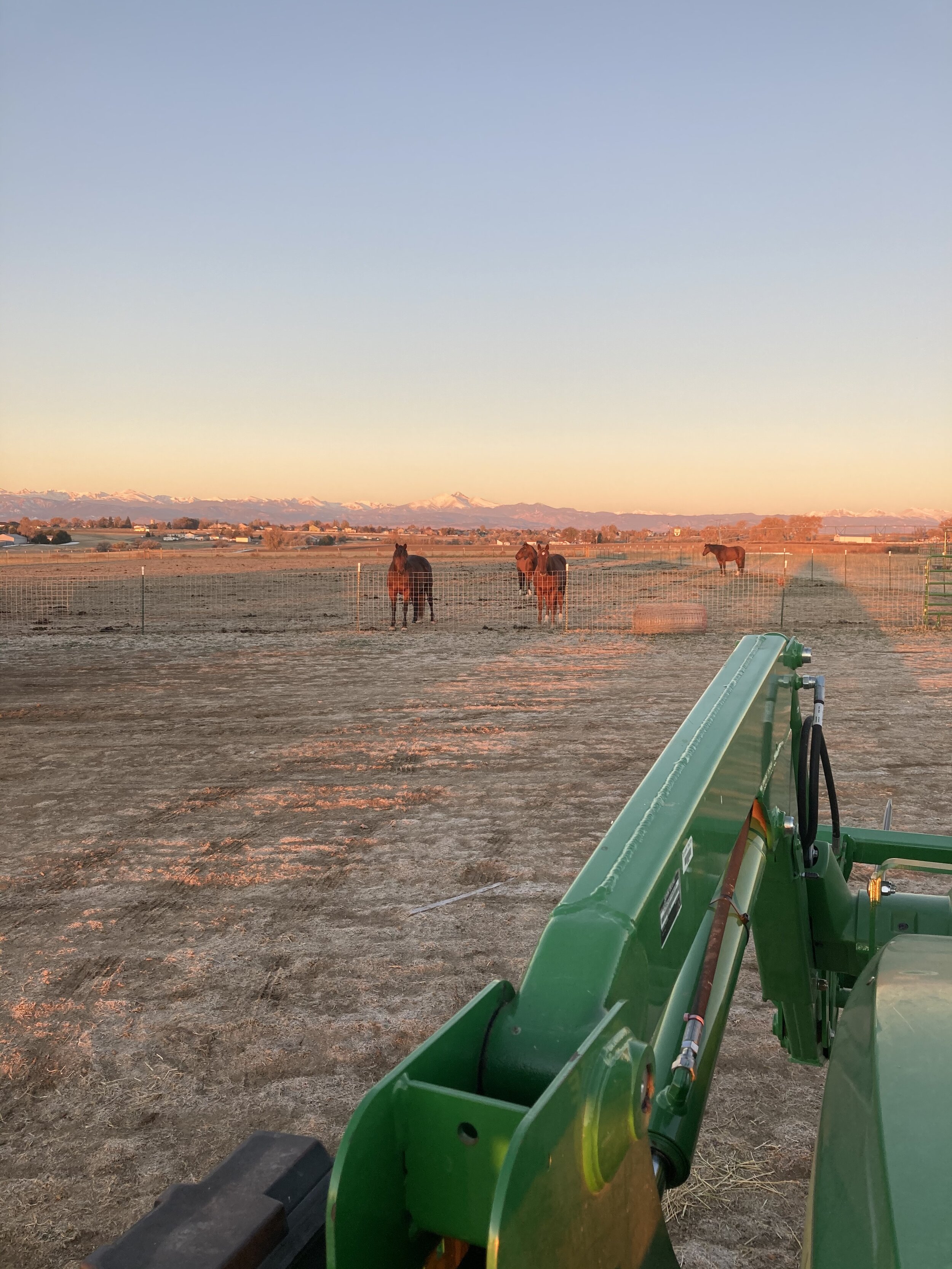 Our Farm Gallery — Welcome to Davis Family Livestock