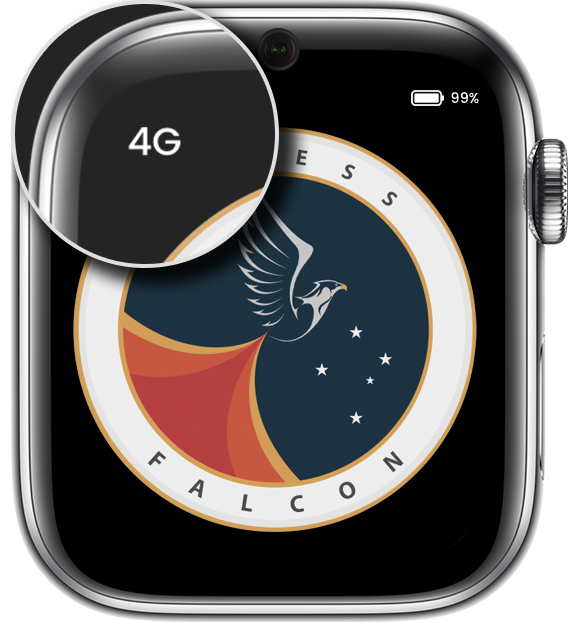 Duress Falcon — Duress