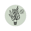 Simply Different Florist | Premium Flower Delivery Sydney