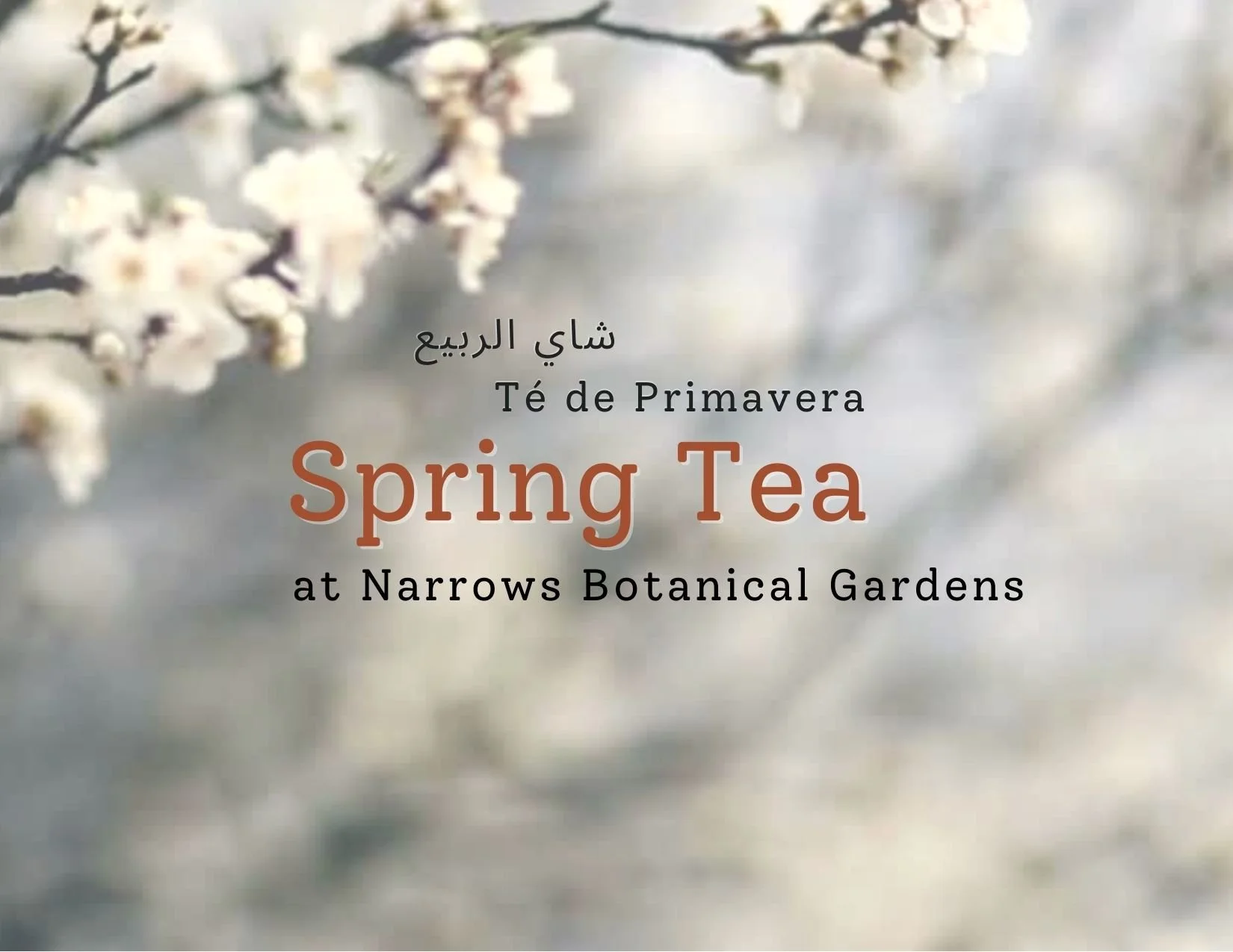 Events — Tea Arts and Culture