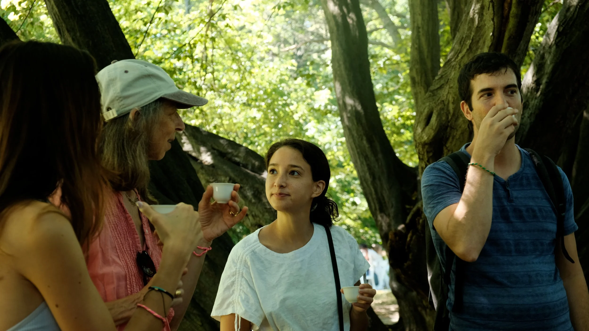 Summer Tea 2023 — Tea Arts and Culture