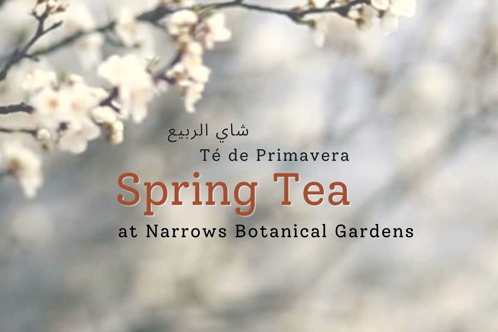 Spring Tea at Narrows Botanical Gardens — Tea Arts and Culture