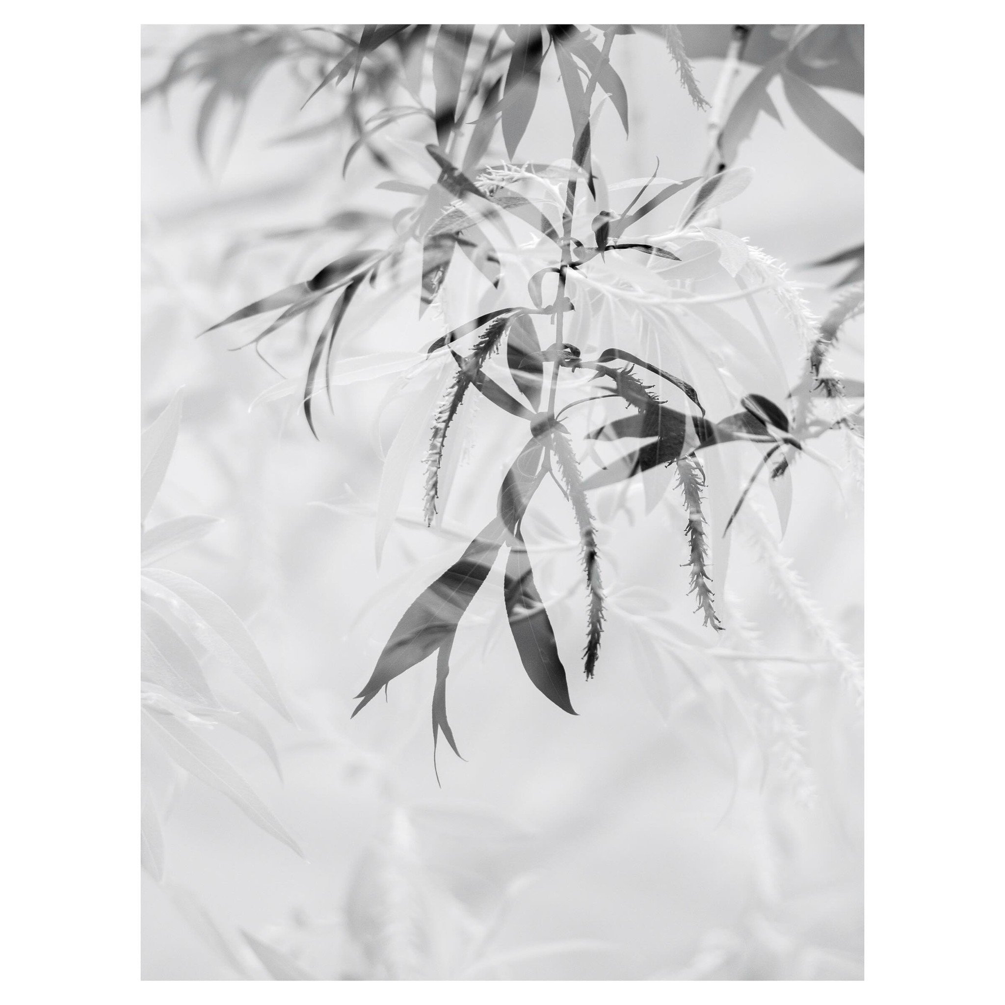 Sally Paterson Photography | Fine Art Photographer, Melbourne Australia