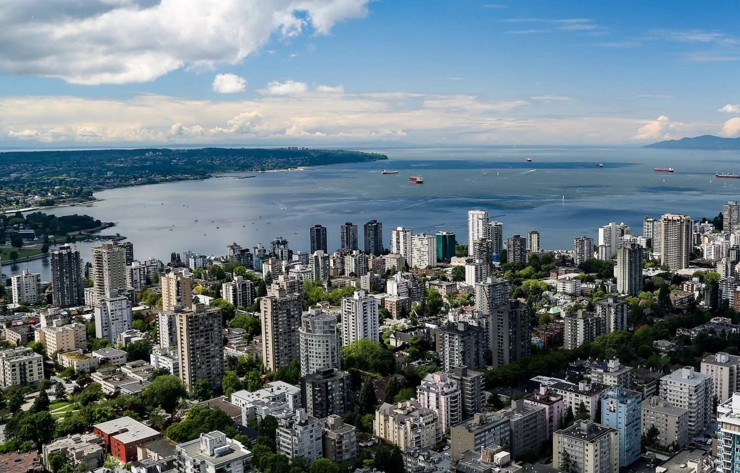 Contact Us — BONDI Energy