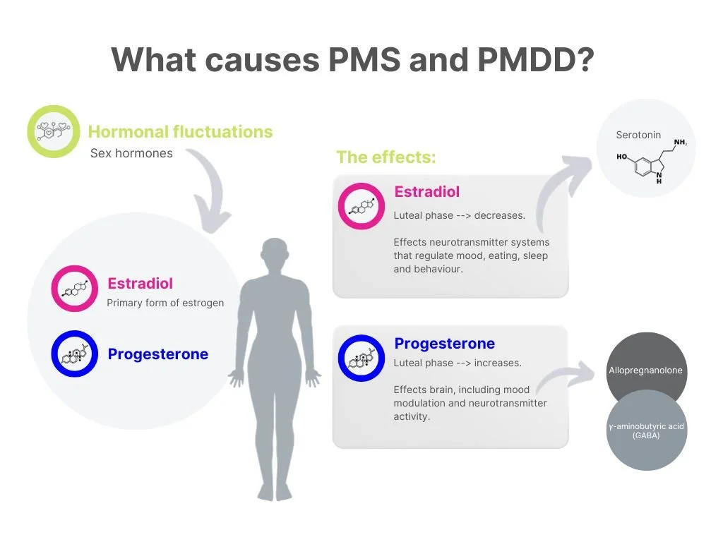 theblood – Revolutionizing the Gender Data Gap