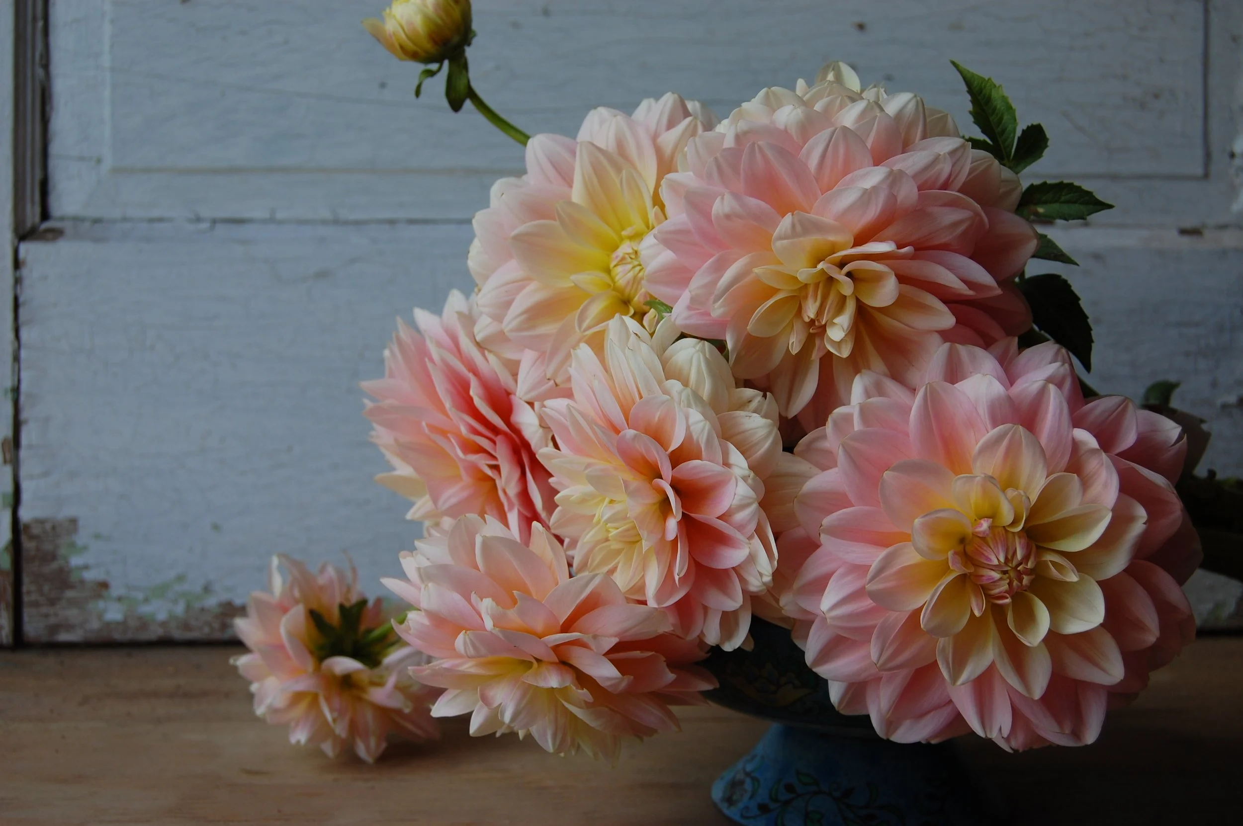 Local Flowers — Bluebell House Flowers