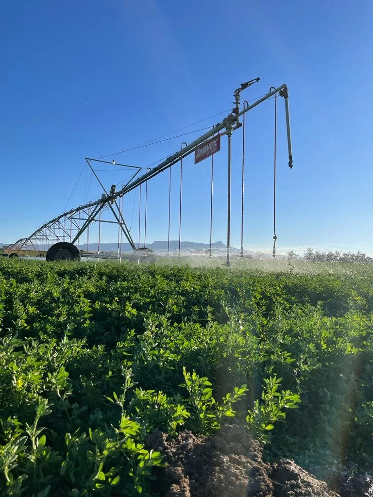 About — Yoder Family Farms