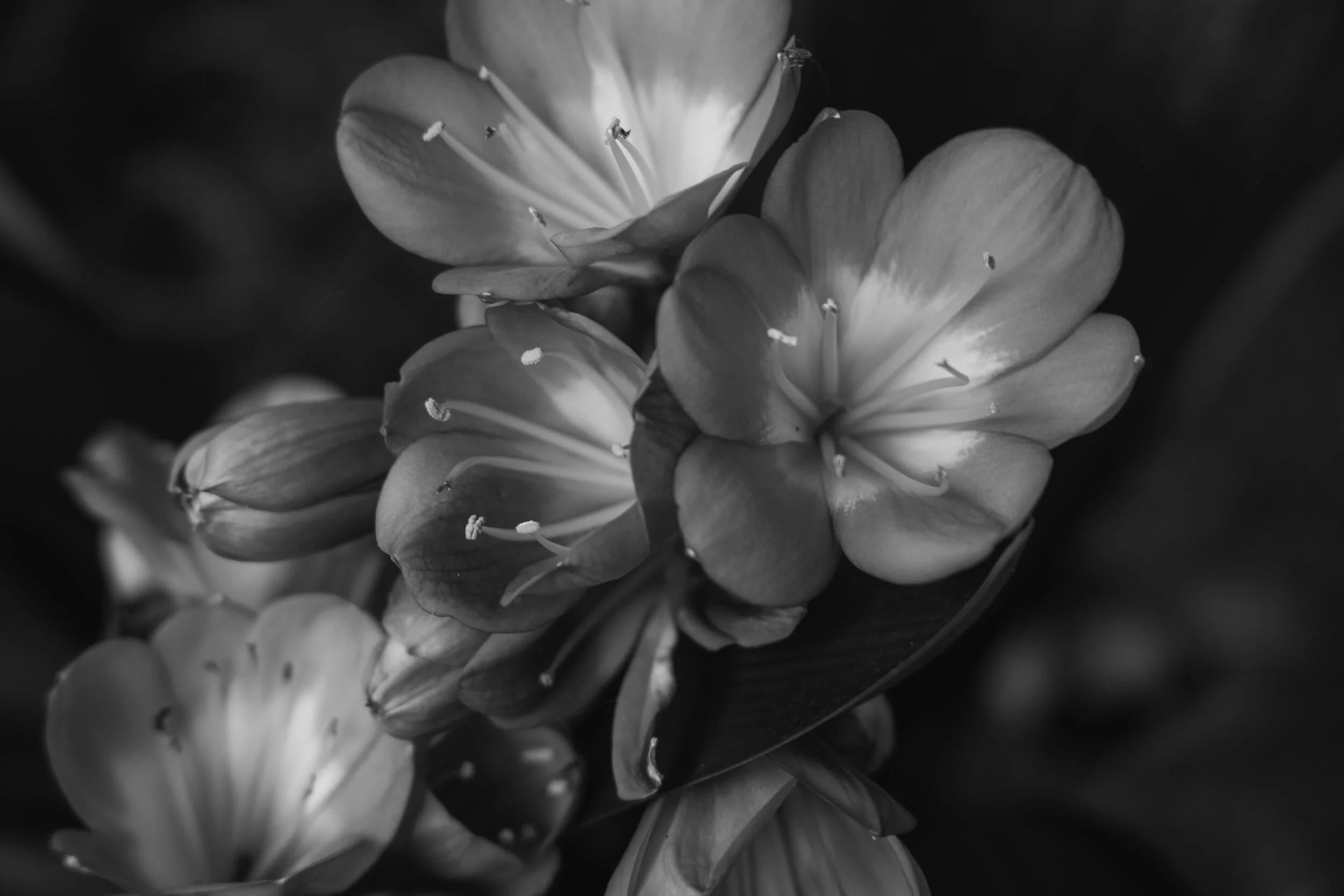 Classes — Tammy Blaze Yoga & Photography