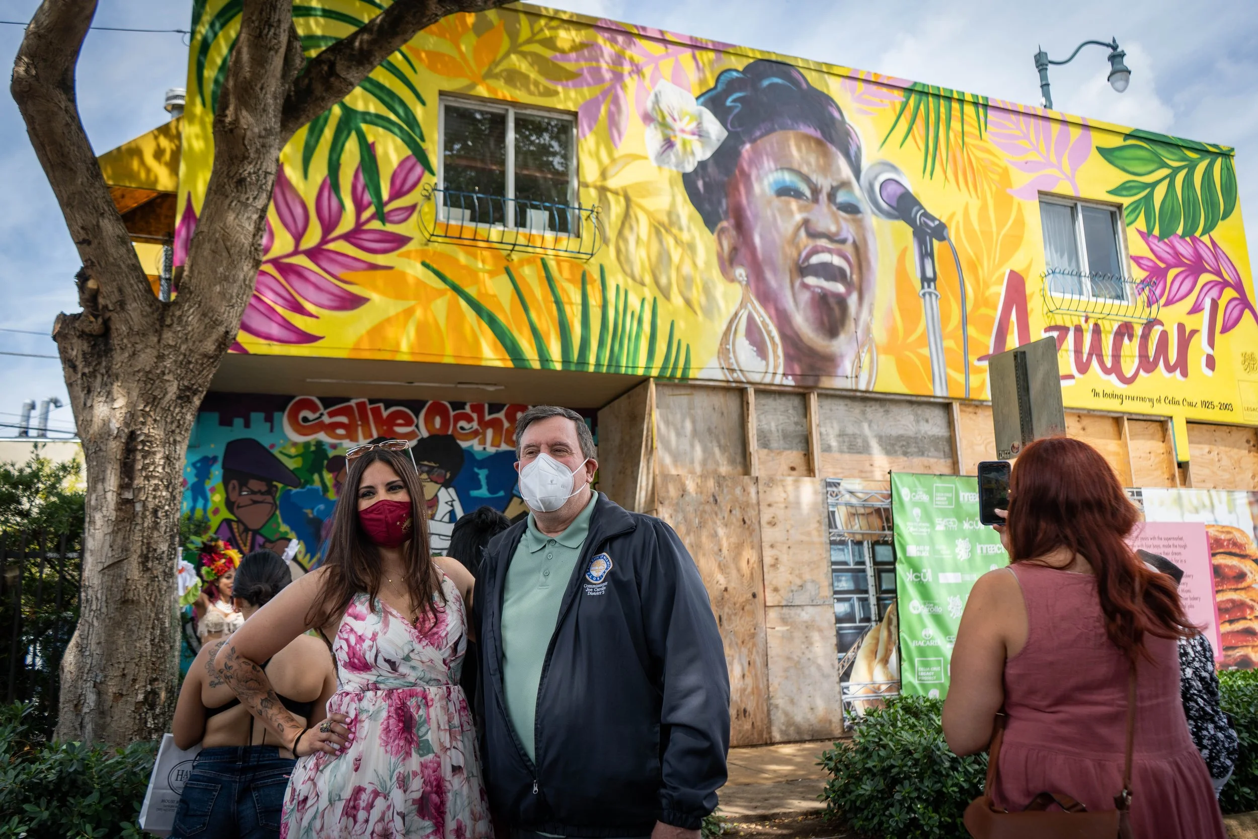 Celia Cruz Mural — Miss Lushy