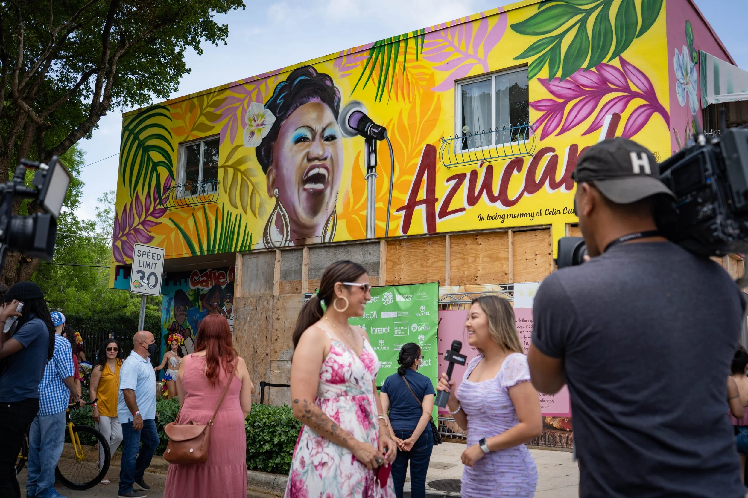 Celia Cruz Mural — Miss Lushy