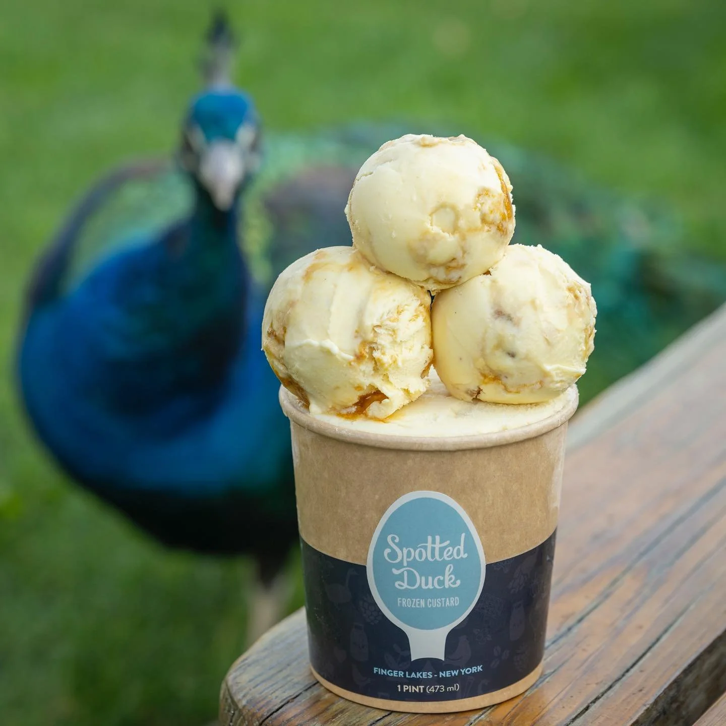 Spotted Duck Creamery