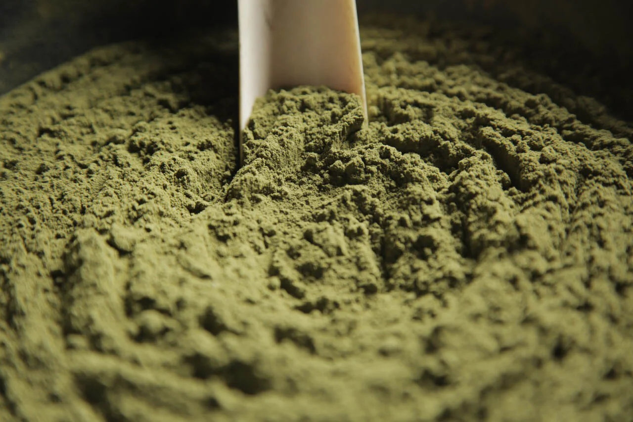 Our Medicines — The Nature Within