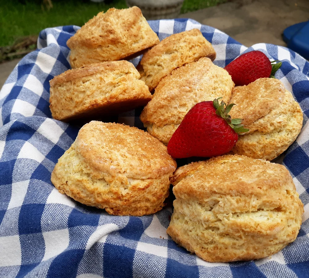 Best Biscuits -Top Hat — Persnickety Panhandler
