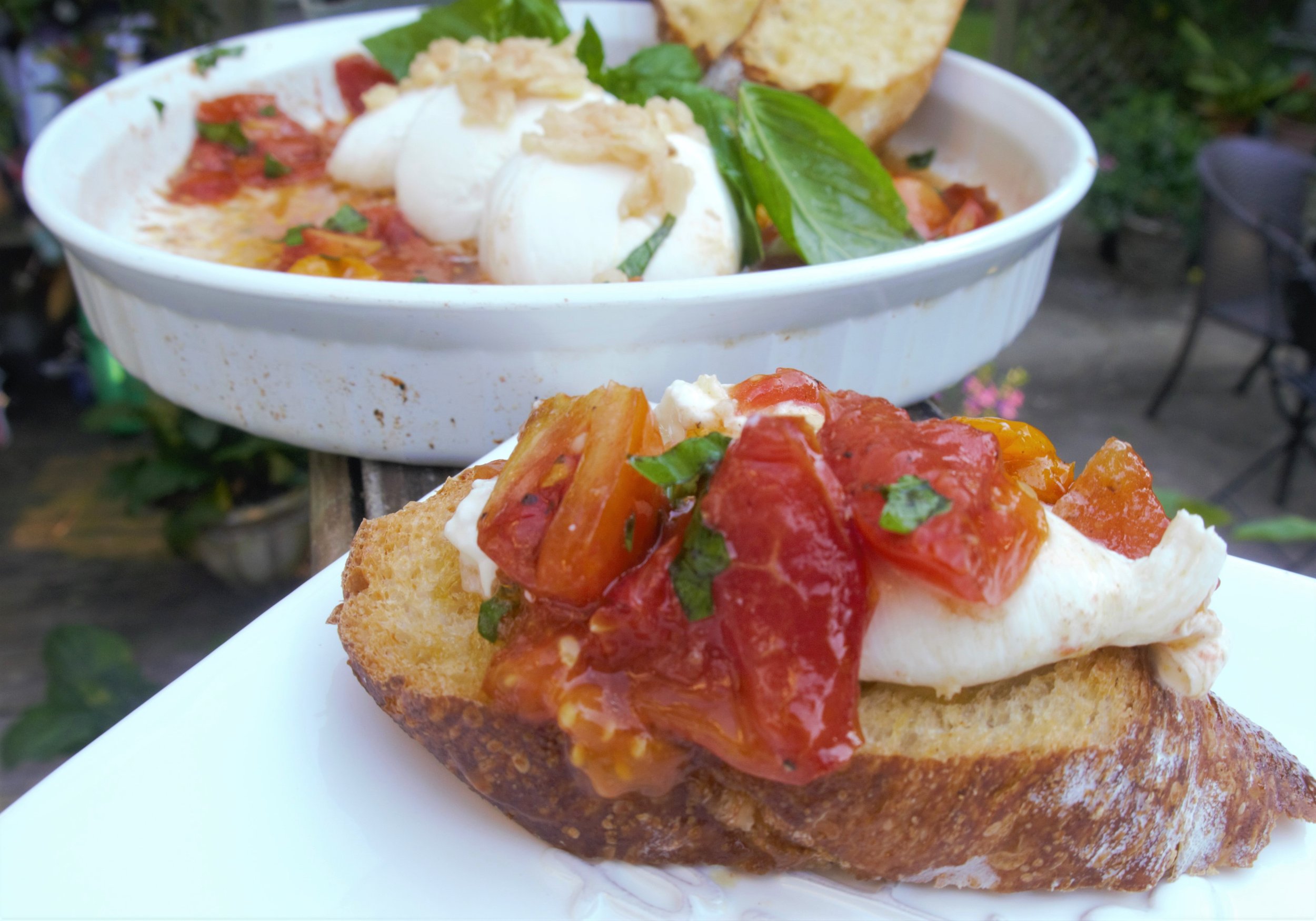 Roasted Caprese with Burrata Cheese — Persnickety Panhandler