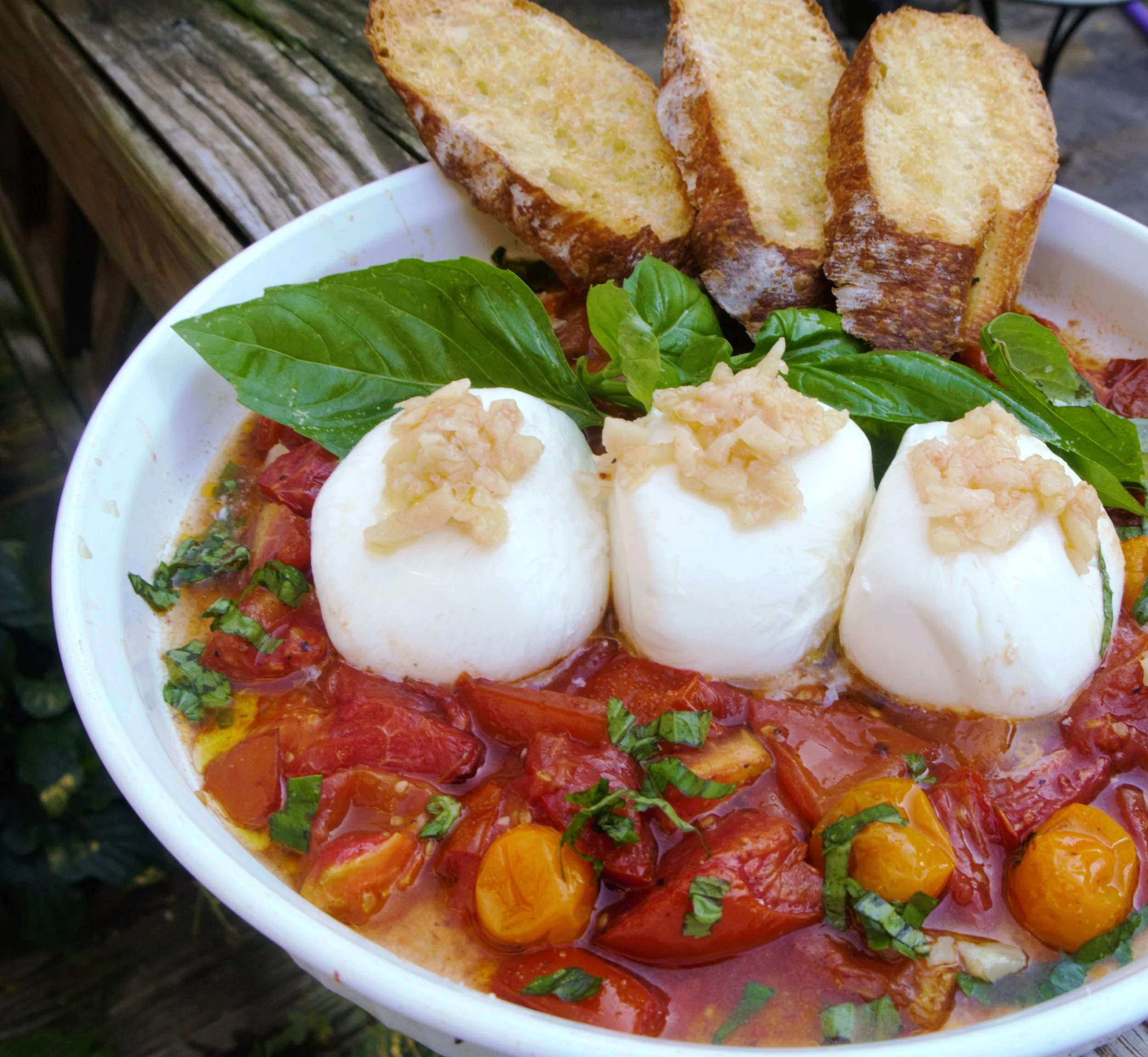Roasted Caprese with Burrata Cheese — Persnickety Panhandler
