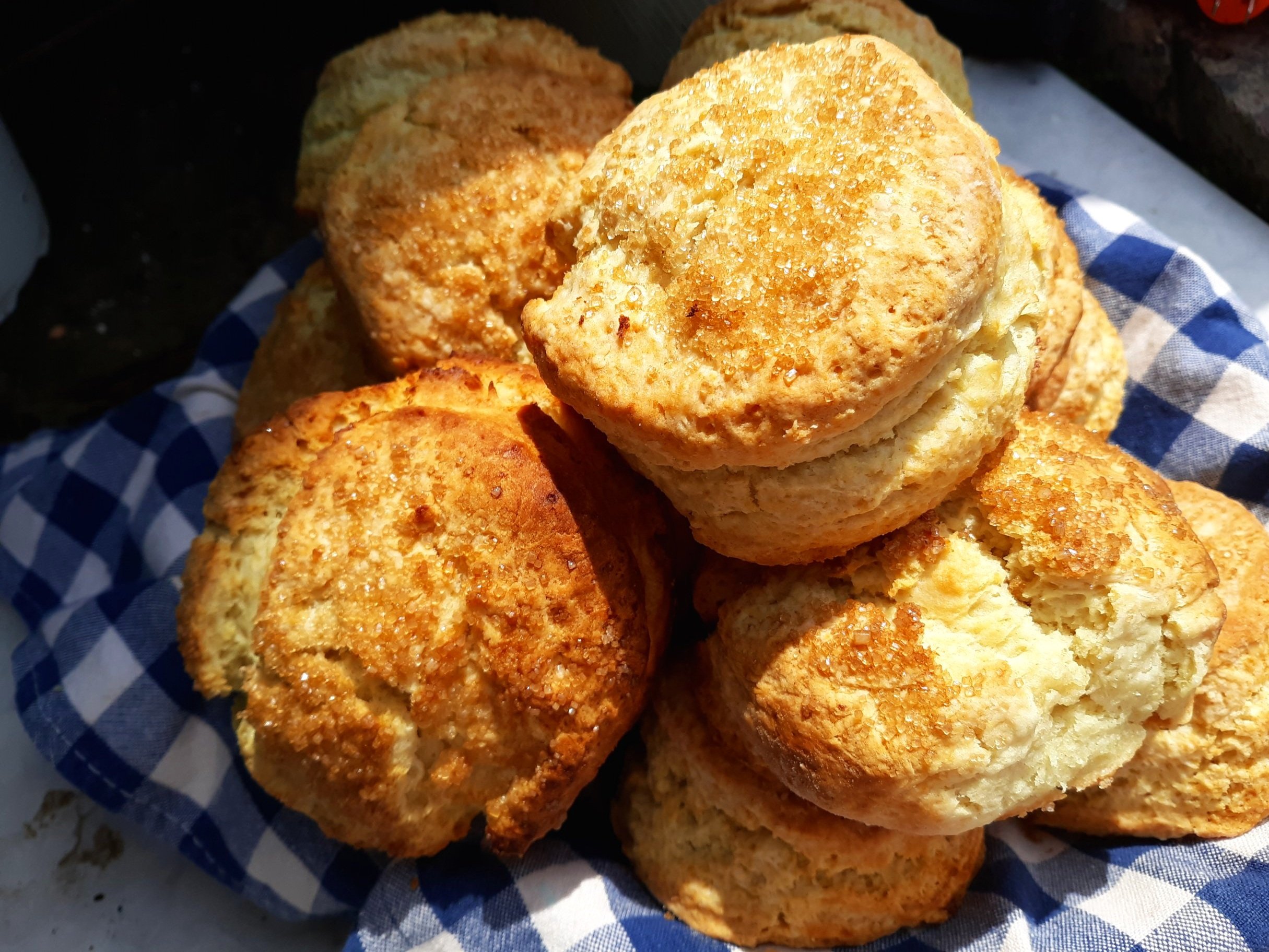 Best Biscuits -Top Hat — Persnickety Panhandler