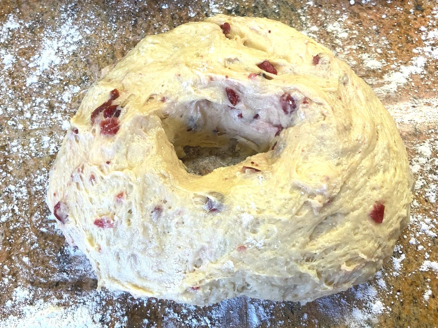 Alsatian Kugelhopf Sweet Bread — Persnickety Panhandler